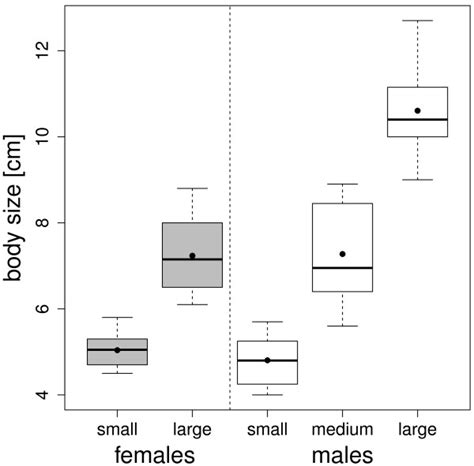 boxplot of the body sizes as a function of the size classes for each