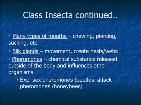ppt the arthropods blueprint for success powerpoint