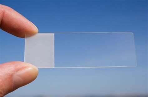Microscope Slide Preparation Guide