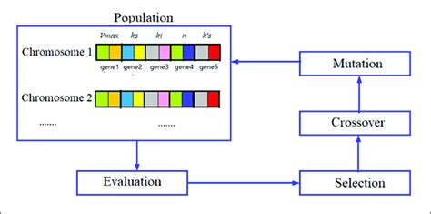 diagram of the genetic algorithm in parameter value optimization