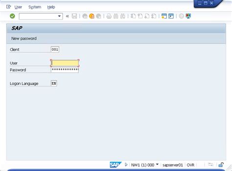 Sap Logon Configuration Load Balancing