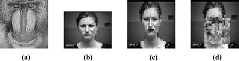 Sensors Free Full Text Robust Facial Expression Recognition Via