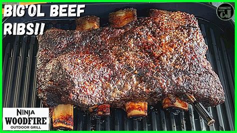 Ninja Woodfire Grill Beef Ribs Brisket On A Stick Youtube