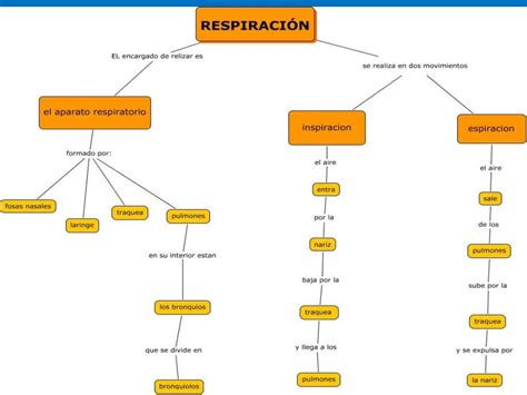 Diferencias Que Existen Entre Los Mapas Conceptu Mindmeister Mapa Hot