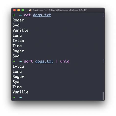 learn linux basics bash command tutorial for beginners