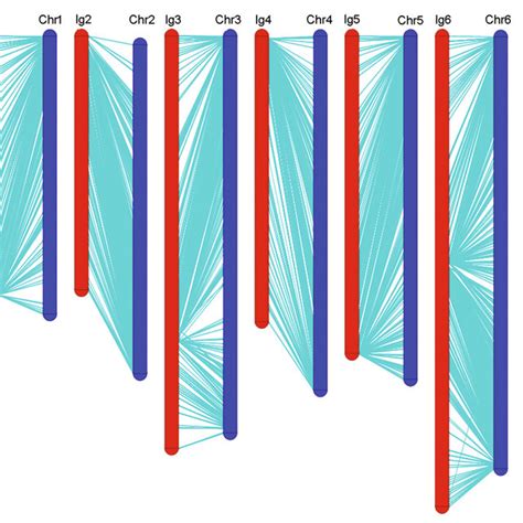 Anchoring Genome Sequence To The Genetic Map Previously A High Density