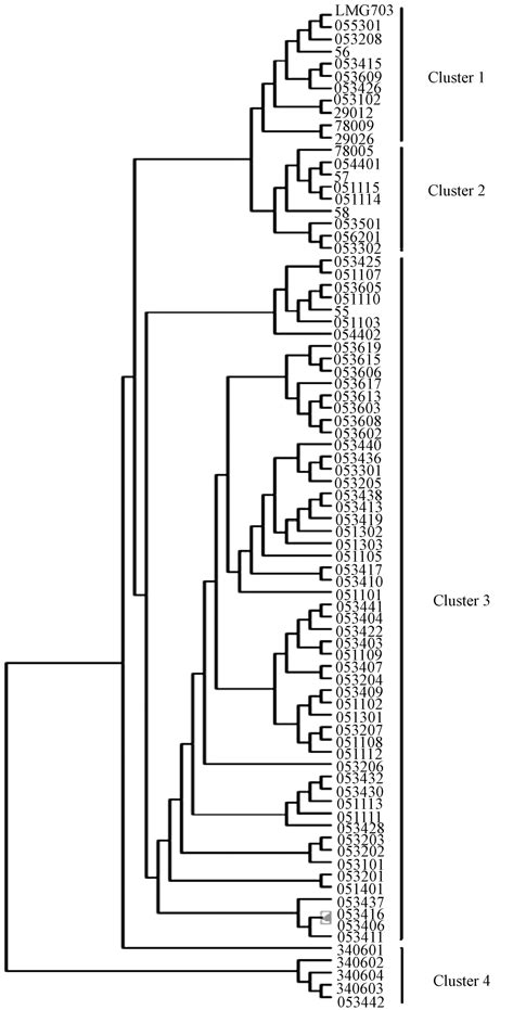 hierarchical clustering analysis based on cgh result the tree shows