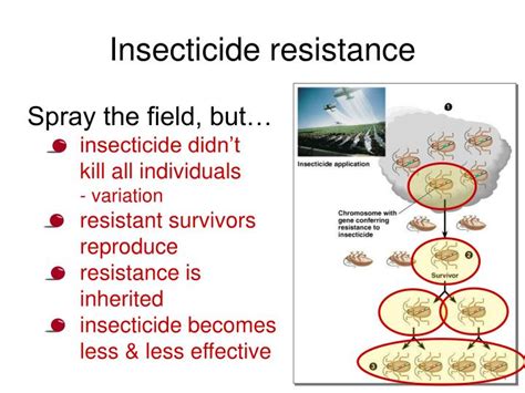 Pesticides The Big Picture Health Freedom Idaho