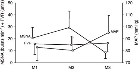 Muscle Sympathetic Nerve Activity Msna Mean Arterial Pressure Map