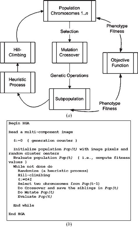 a flowchart of the hybrid genetic algorithm hga b pseudo code of