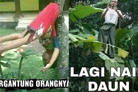 10 Meme Lucu Bikin Ngakak Sempat Tak Terpikirkan Sebelumnya