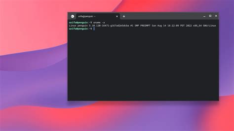 chromeos como activar y ejecutar el entorno de desarrollo gnu linux