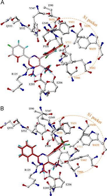 The Docking Simulated Interaction Modes Of High Potent Compound 23 A