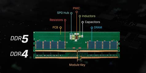 Ddr5 Vs Ddr4 Will Ddr5 Ram Work On Ddr4 Motherboard Hot Sex Picture