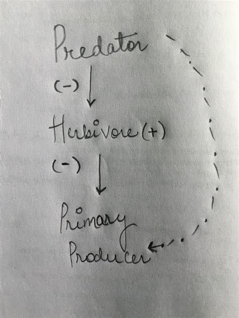 What Are Trophic Cascades And How Do They Explain Connected Biological