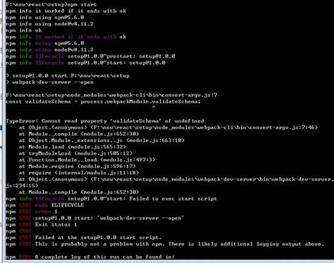reactjs webpack dev server fails to run with error of validateschema