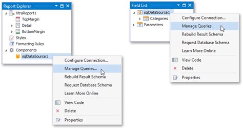 query parameters reporting devexpress documentation