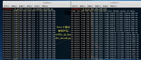 2017 2018 2 20179204 python黑帽子 黑客與滲透測試編程之道 碼上快樂