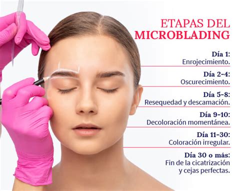 Proceso Del Microblading Y Sus Etapas Aprende Institute