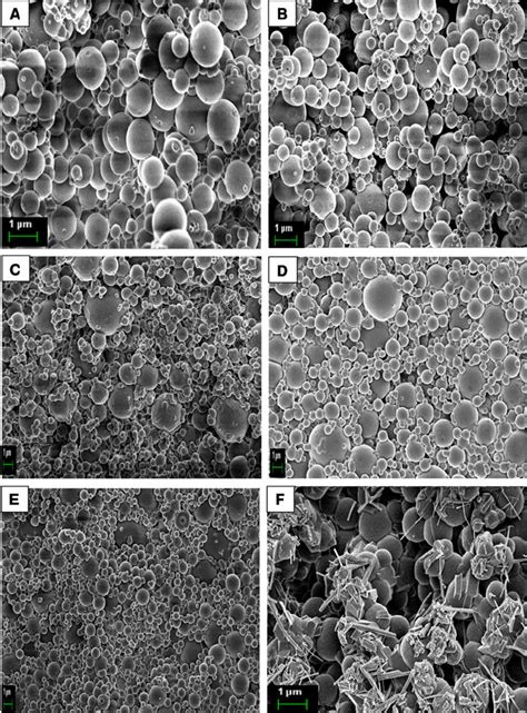 Mean Particle Size Pdi And Ee Of The Prepared Pcl Lam