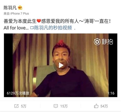 白百合首度回應離婚傳聞，網友：人生如戲全靠演技 每日頭條