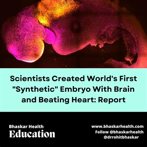 Scientists Created Worlds First Synthetic Embryo With Brain And