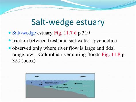 Ppt Coastal Ocean Powerpoint Presentation Free Download Id 2140519