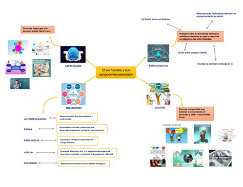 527809706 Mapa Mental El Ser Humano Y Sus Componentes El Ser Humano Y