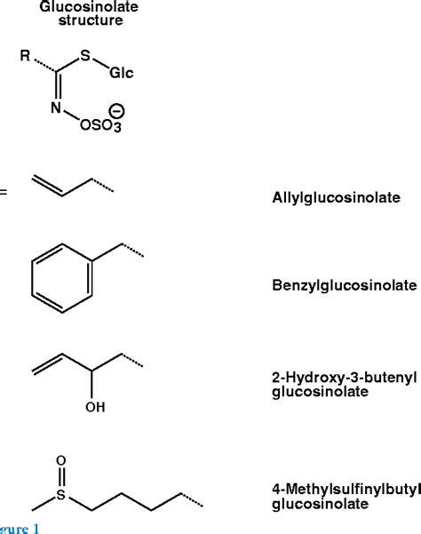 [pdf] Biology And Biochemistry Of Glucosinolates Semantic Scholar