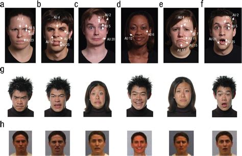 Facial Expressions And Emotions Psychology
