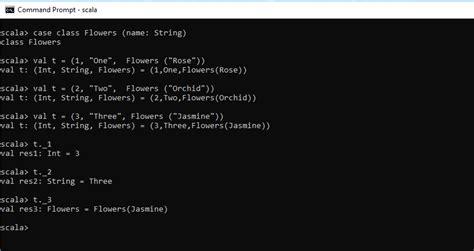 scala tuples tutorial cloudduggu