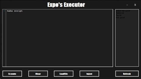 make you your own roblox script executor by expo xr fiverr