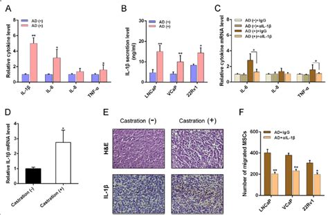 Il 1β Is Key Mediator Of Ad Induced Msc Migration A Cytokine Analysis