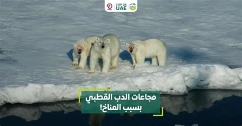 مناخي فيديوهات قصيرة حول قضايا التغير المناخي