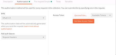 make an api call with variable token with oauth 2 0 stack overflow