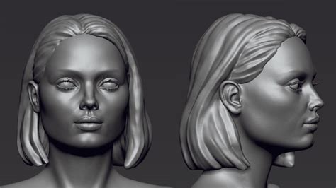 Sculpt Realistic D Bust D Model Face Model In Zbrush By Anime Tim My