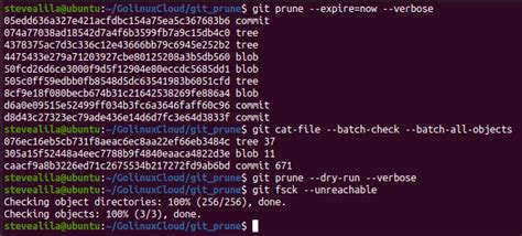 the ins and outs of the git prune command explained golinuxcloud