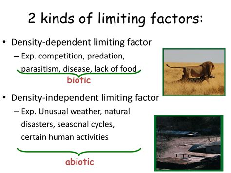 Ppt Pre Ap Biology Pearland High School Powerpoint Presentation Free