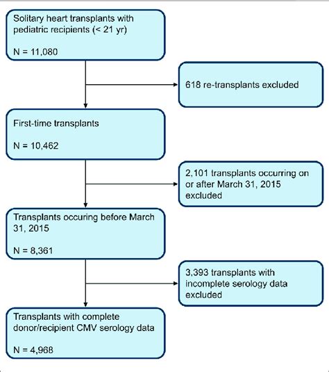 Cohort Selection Criteria Flowchart Depicting The Inclusion Criteria