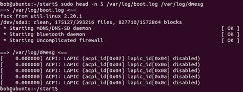 display first lines of a text file linux