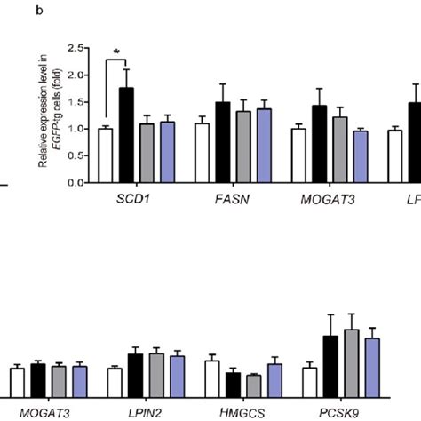 Pa Induces Intracellular Lipid Accumulation In Hepg2 Cells A Hepg2