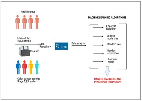 Sensors Free Full Text Machine Learning Analysis Of Rna Seq Data