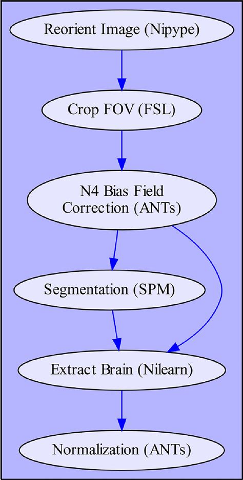 Depiction Of Fmriflows Anatomical Preprocessing Pipeline Arrows