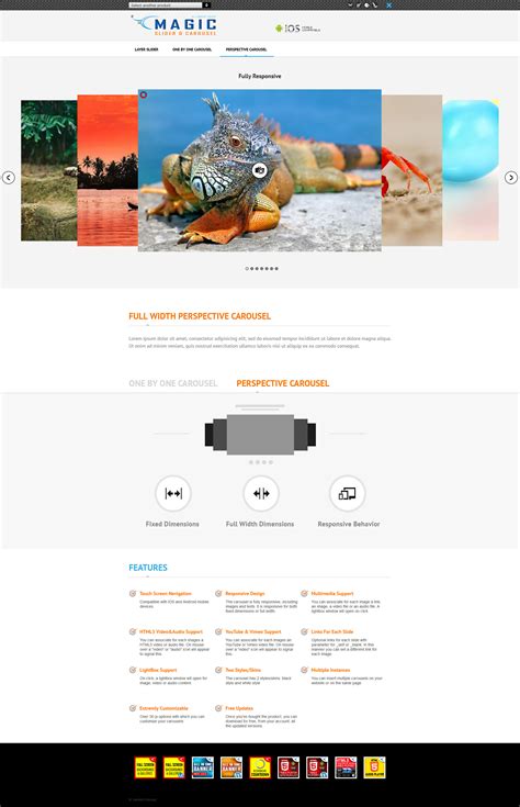 magic responsive slider and carousel wordpress plugin by lambertgroup