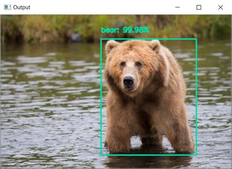github akashkhamkar object detectiong using pretrained fast rcnn with