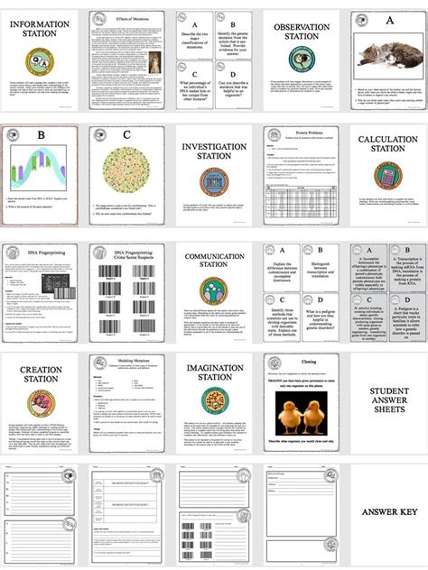 modern genetics demos labs and science stations nitty