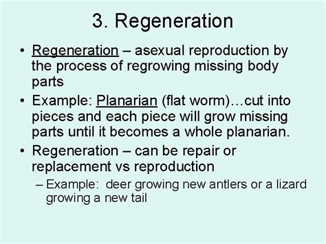 Asexual Reproduction 1 Cell Division Amoebas Asexual Reproduction