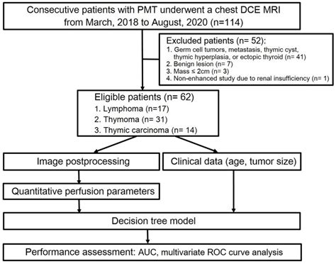 Diagnostics Free Full Text An Mri Based Clinical Perfusion Model