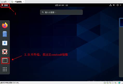 nat mode of network configuration for vmware virtual machine programmerah