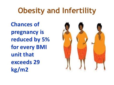 Obesity And Female Infertility ‘a Real And Alarming Problem For Infert…